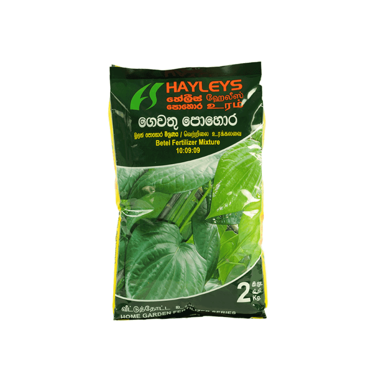 Betel Cultivation in Sri Lanka | Hayleys Agriculture